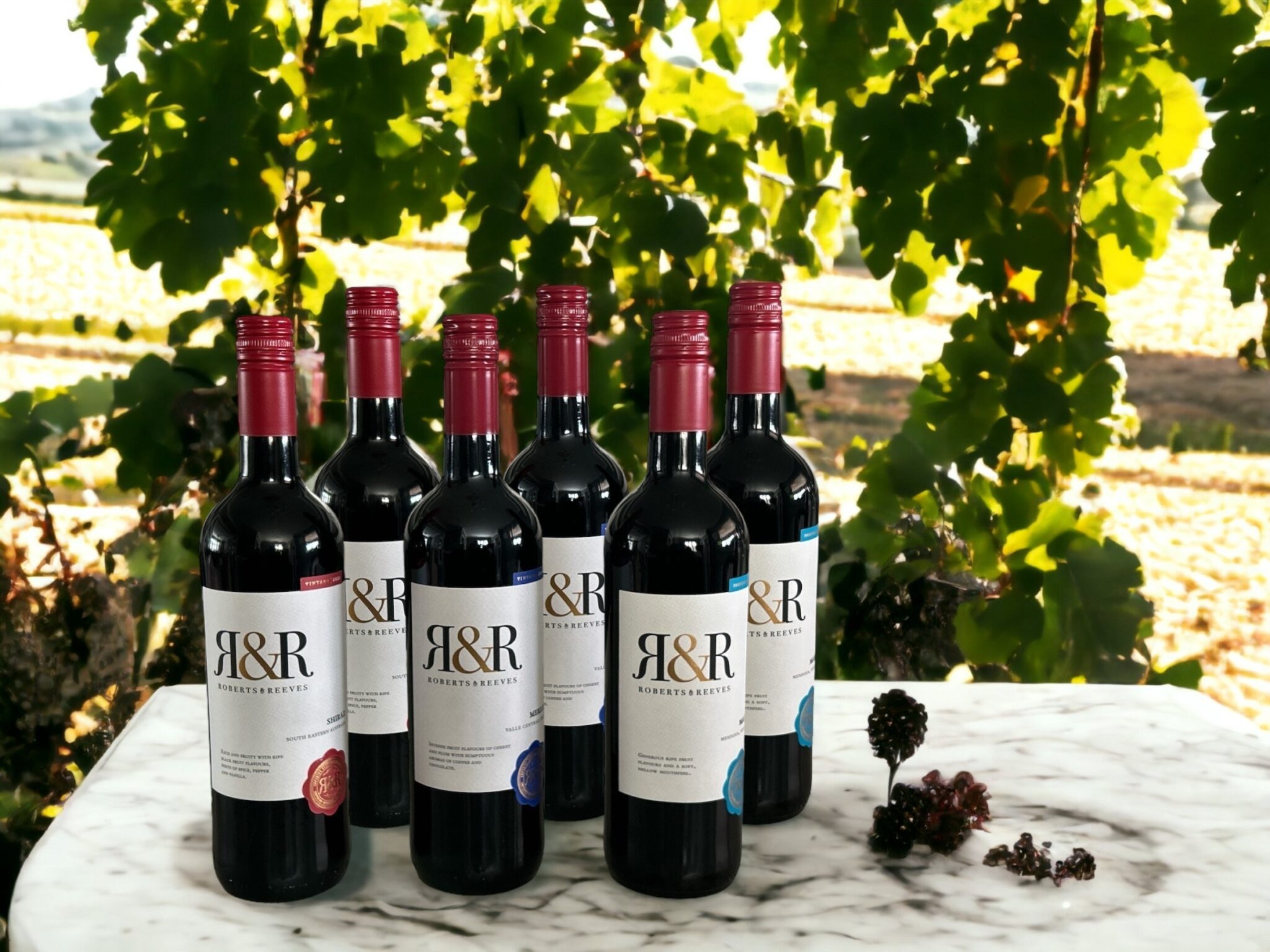 Red Wine Box - Bilco Direct